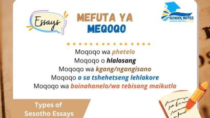 Sesotho - School Notes