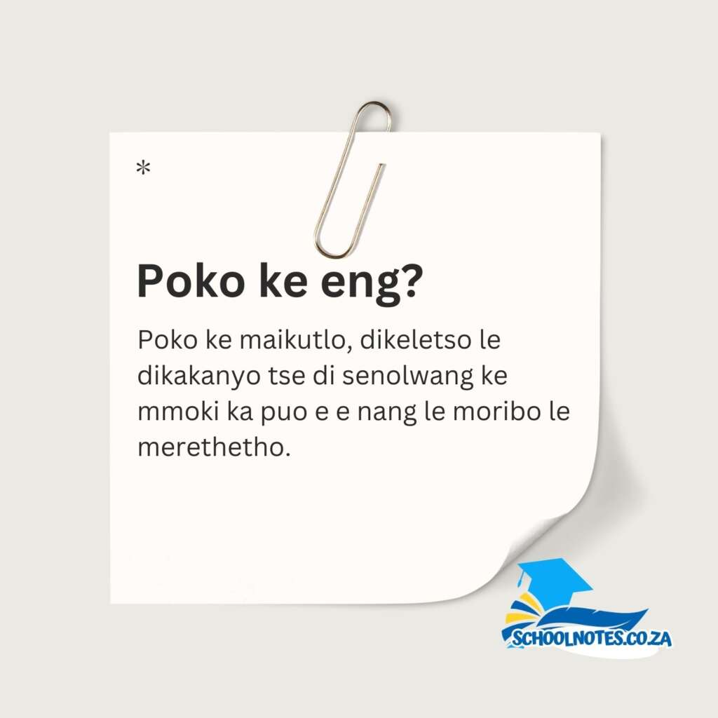 Mefuta ya Diponagalo tsa Poko - School Notes
