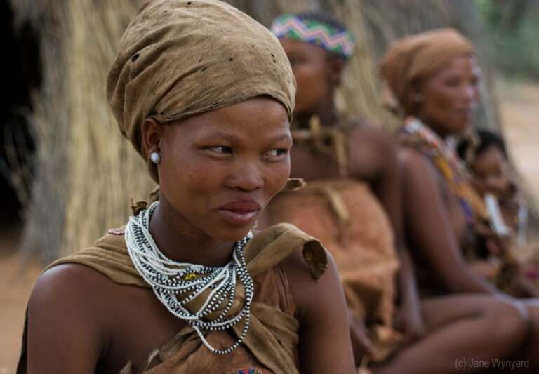 Characteristics of Traditional Societies - School Notes