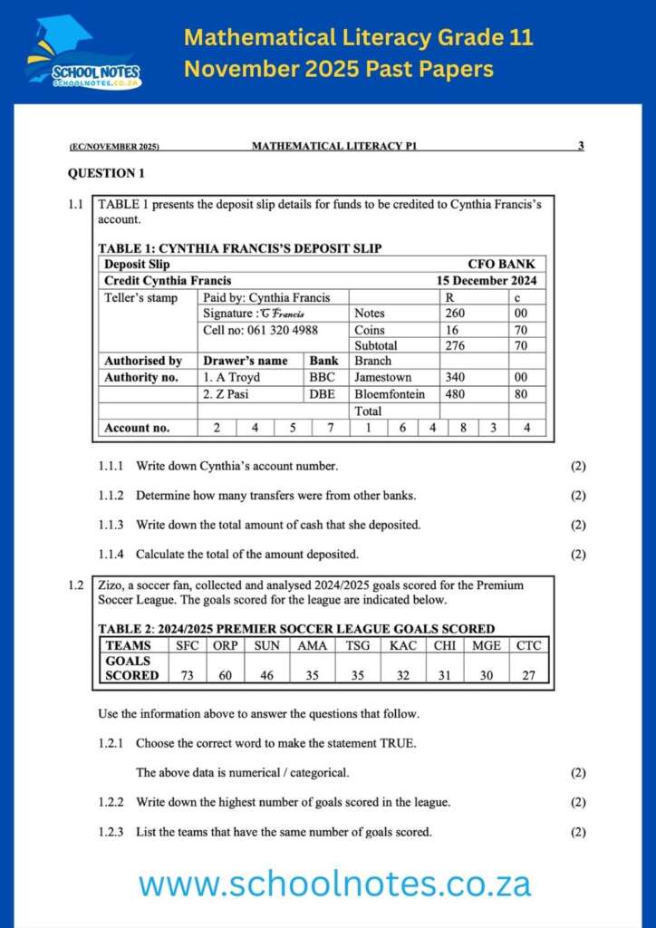 Mathematical Literacy Grade 11 November 2025 Past Papers - School Notes