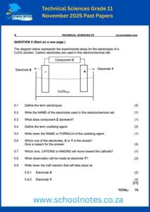 Technical Sciences Grade 11 November 2025 Past Papers - School Notes